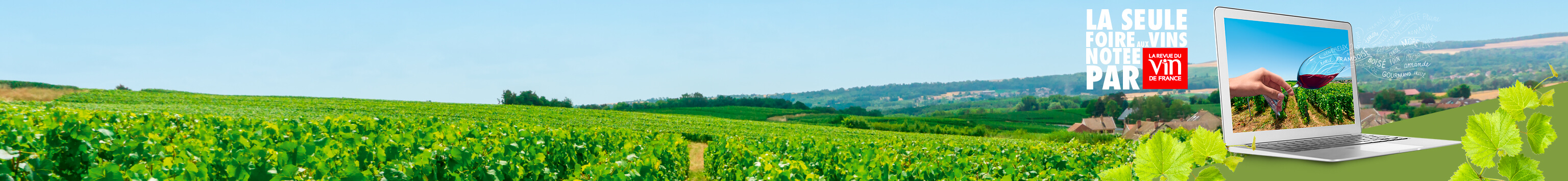 Foire aux Vins d'Été 2020 avec Carrefour