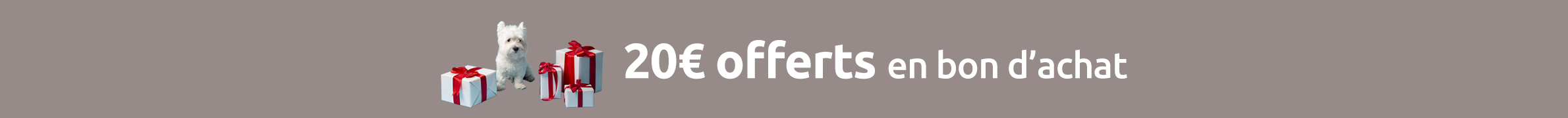 20€ offerts en bon d'achat ! - Carrefour.fr