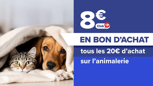 Carrefour Segny : Votre Hypermarché à Ségny