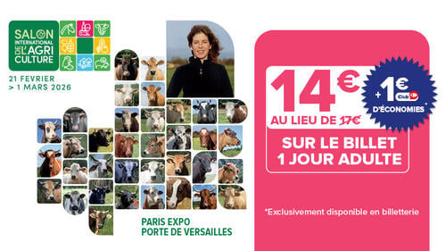 Carrefour Evry : Votre Hypermarché à Évry-Courcouronnes